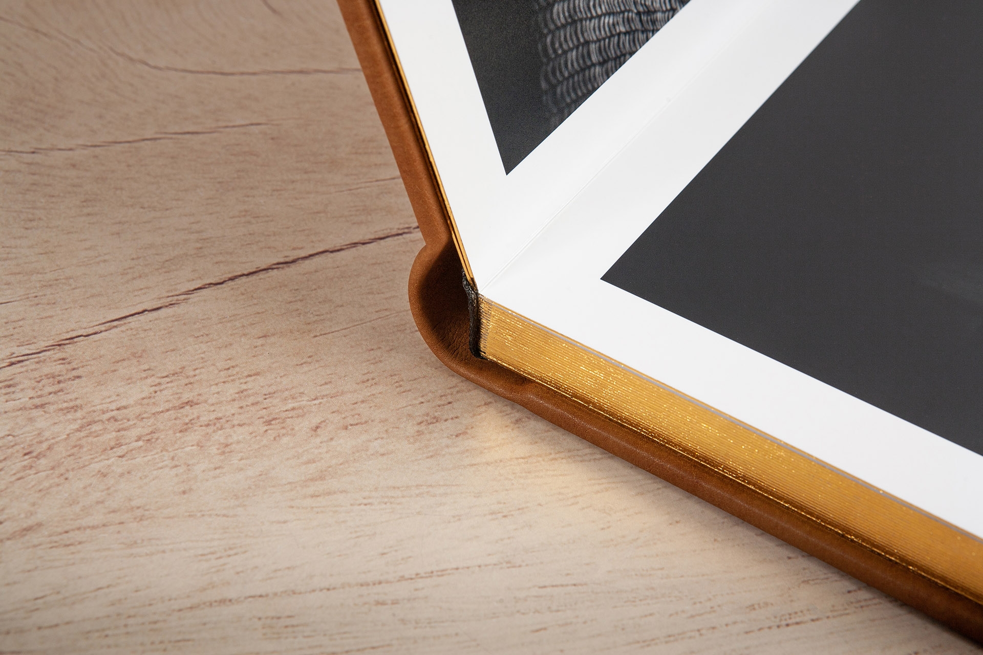 Basic Collection - Floricolor