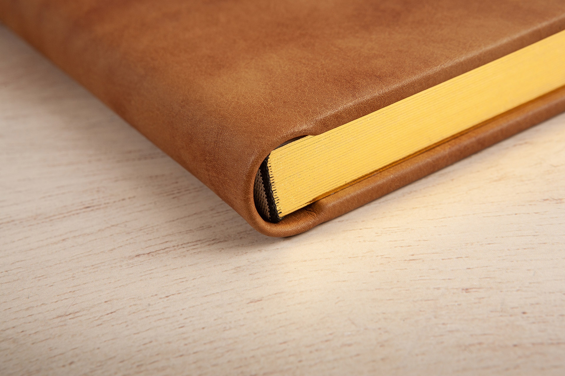 Basic Collection - Floricolor